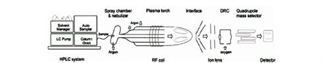 Schematic Of The Hplc Drc Icp Ms System Download Scientific Diagram
