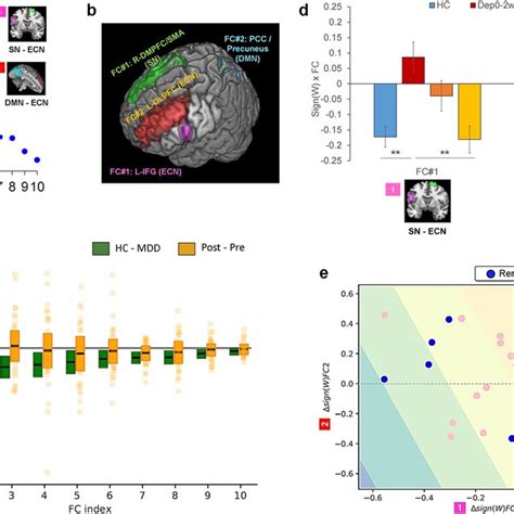 The Integrated Pipeline For Depression Biomarker Development Patients