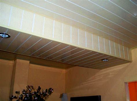 Plastic Ceiling Tiles
