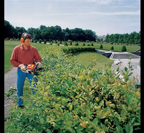 Stihl Petrol Hedge Trimmer Hs Stroke Machines