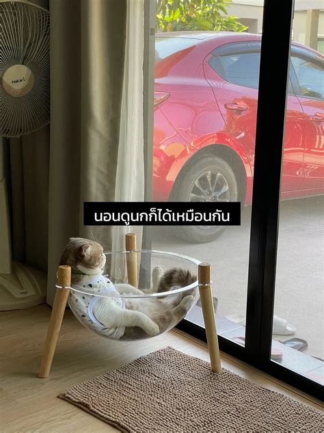 Review หลุมอวกาศน้องแมว 🫶🏻 Gallery Posted By Bingllow Lemon8