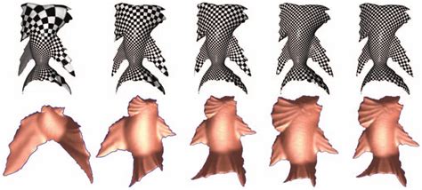 There Are An Infinity Number Of Conformal Parameterizations For A Given Download Scientific