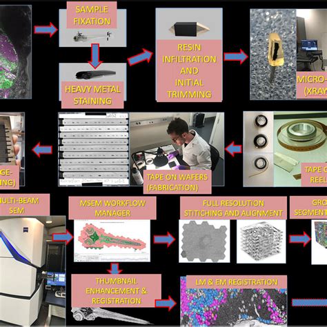 3dem Provides High Resolution Synaptic Structure Data High Resolution
