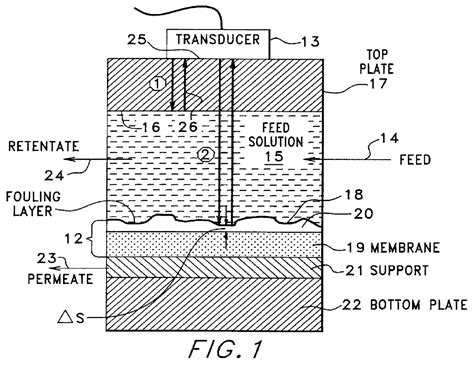 Method And Apparatus For Determining The State Of Fouling Cleaning Of Membrane Modules Eureka