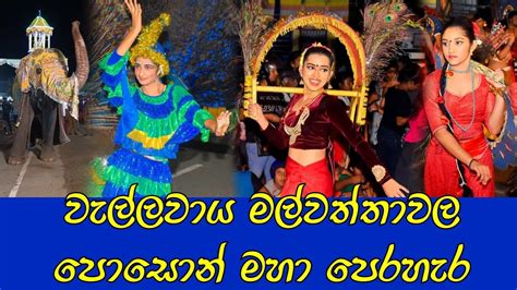 වැල්ලවාය මල්වත්තාවල රාජ මහා විහාරස්ථානයේ 70 වන පොසොන් මහා පෙරහැර Youtube