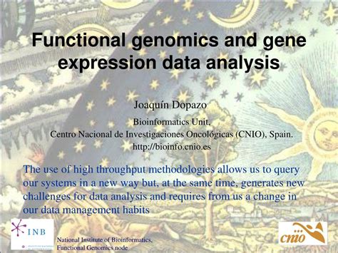Ppt Functional Genomics And Gene Expression Data Analysis Powerpoint