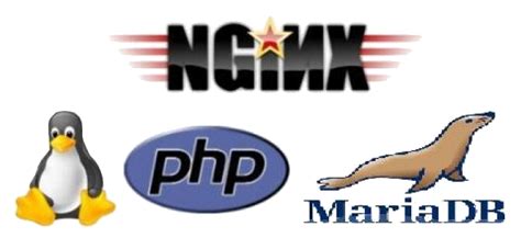 Panduan Instalasi Lemp Linux E Nginx Mariadb Php Di Debian 86