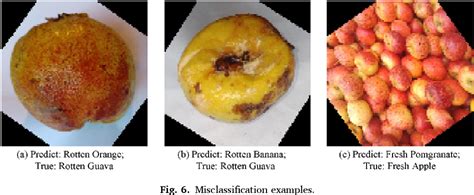 Figure 1 From Fruit Freshness Detection Based On Multi Task