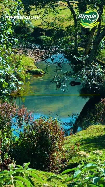 Sanjith Raju Posted On Linkedin