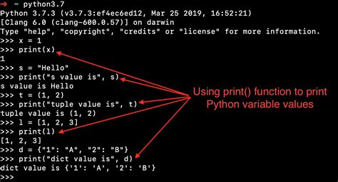 ¿cómo definir una variable en python ️
