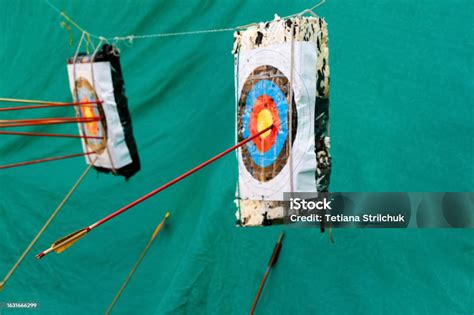 대상의 화살표를 디포커스합니다 양궁 타겟 빈티지 스타일의 골 링을 치십시오 개념으로서의 비즈니스 마케팅 빨간색 다트 화살이 다트판의 목표 중앙에 명중됨 목표물이 중앙에