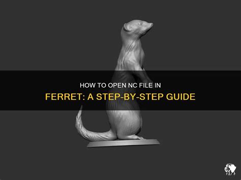 How To Open Nc File In Ferret A Step By Step Guide Petshun