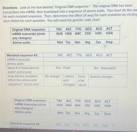 Solved Directions Look At The Box Labeled “original Dna Sequence ” The Original Dna Has Been
