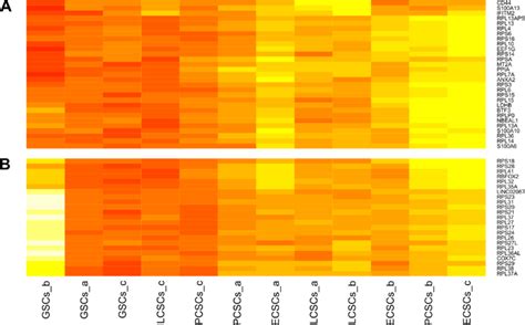 Two Extracts Of The Hierarchically Clustered Heatmap Of The 200 Top