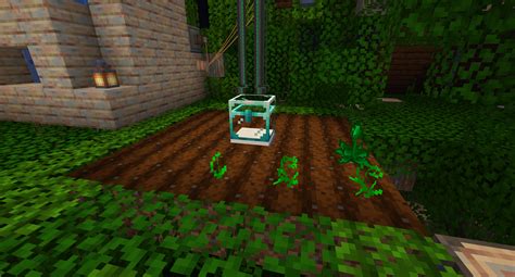 Atm6 Mystical Aggriculture Plants Not Growingwaaay Slower Than They