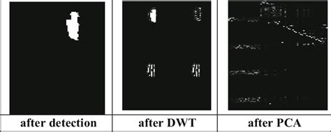 Image After Dwt And Pca Download Scientific Diagram