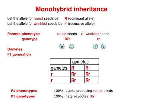Monohybrid Inheritance
