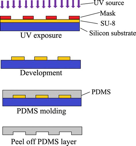 Schematic Of The Fabrication Procedures Of Pdms Mold Download