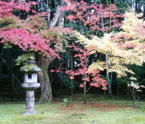 去年の写真から 大徳寺静かで素敵なお寺です 大徳寺 daitokuji 高桐院 kotoin 京都 KYOTO