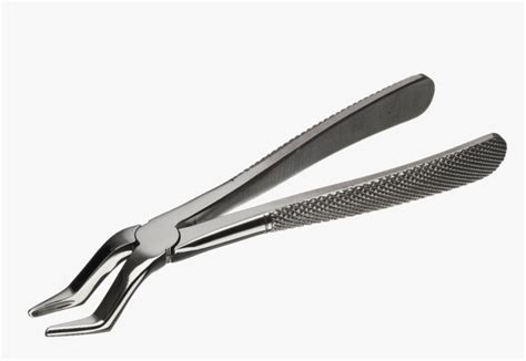 Image For Ash Forceps No Upper Wisdom Tooth Forceps Hd Png Download