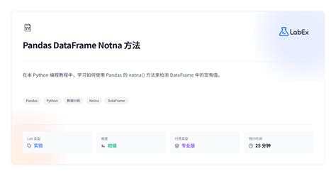 Pandas Notna 方法 Python 数据分析 Labex