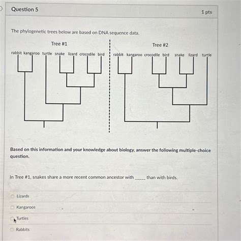 Solved Question The Phylogenetic Trees Below Are Based On Chegg