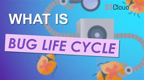 What Is Bug Life Cycle Or Defect Life Cycle In Software Testing Software Testing For Beginners