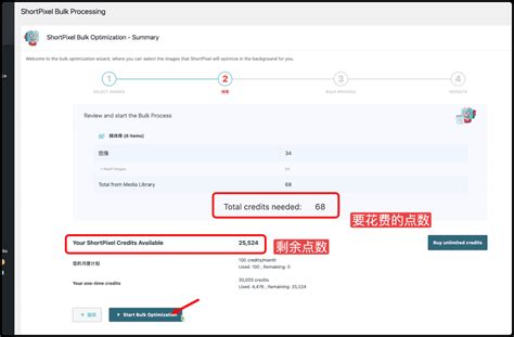 如何使用 ShortPixel 插件优化WordPress图片 小熊猫出海