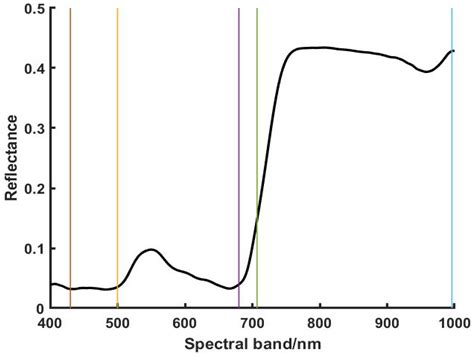 Research On Precise Fertilization Method Of Rice Tillering Stage Based On Uav Hyperspectral