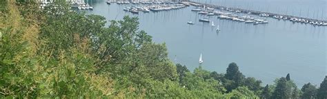 Via Alpina Yellow Trail B4 Sistiana Gorizia Friuli Venezia Giulia Italy Map Guide