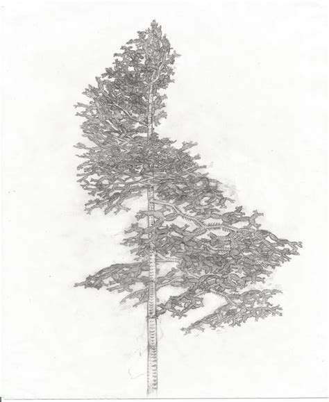 Speculative Tree Based Off Selaginella Fern Rspeculativeevolution