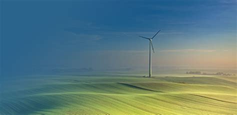 Contractor Management Assessment