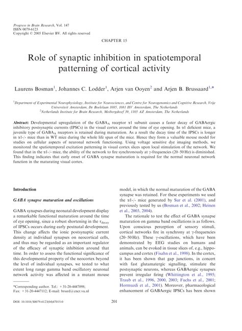 Pdf Role Of Synaptic Inhibition In Spatiotemporal Patterning Of Cortical Activity