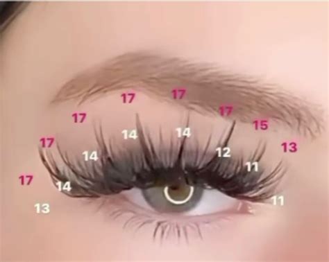 Whispy Look Perfect Eyelashes Lashes Makeup Diy Eyelash Extensions