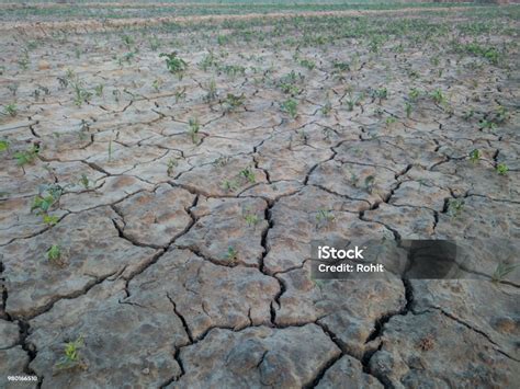금이 찰 흙의 자연 스러운 질감으로 건조 호수입니다 죽음의 계곡 필드 0명에 대한 스톡 사진 및 기타 이미지 0명 가뭄 강 Istock