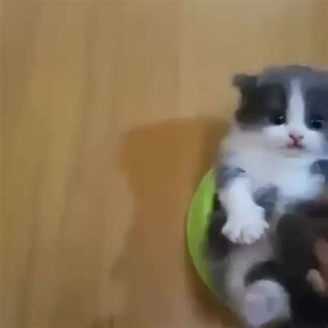 Its So Tiny Scrolller Its So Tiny Scrolller