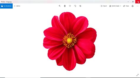 Nodejs Imagemagick Image Processing Library Demo With Example Youtube