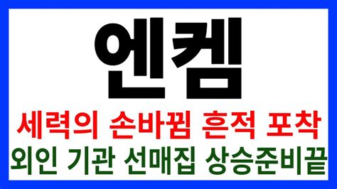 주식 엔켐 세력의 손바뀜 흔적 포착 외인 기관 선매집 상승준비끝 Youtube