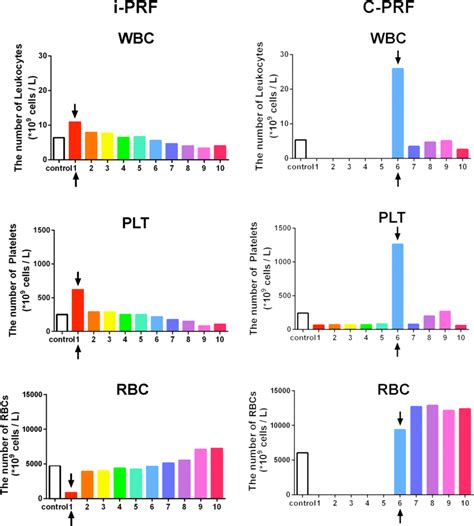 The Concentrations Of Different Cell Types Found In Each Layer From The