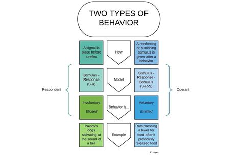 Operant Conditioning What It Is How It Works And Examples Artofit
