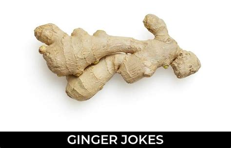Ginger Jokes And Funny Puns Jokojokes