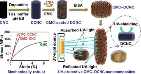 Bioinspired Nanocomposites Of Sodium Carboxymethylcellulose And