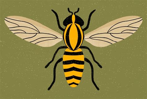 Bugs Skillshare Student Project