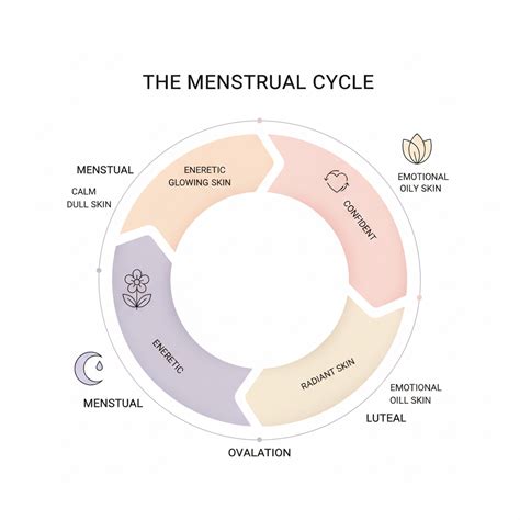 Menstrual Cycle Mood And Skin The Hormone Link