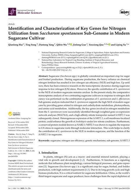 Pdf Identification And Characterization Of Key Genes For Nitrogen Utilization From Saccharum