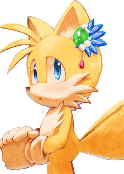 테일즈 짤 모음 P 수인