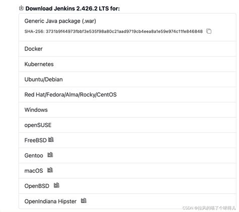 mac系统下，保姆级jenkins自动化部署android macos jekins csdn博客