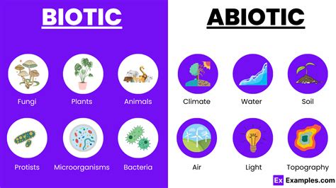 Ecology Biotic And Abiotic Factors Types Of Ecology Importance