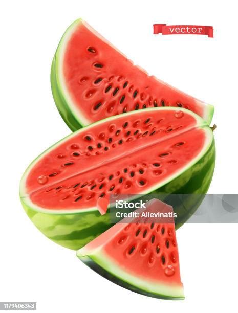 수박 3d 현실적인 벡터 아이콘 0명에 대한 스톡 벡터 아트 및 기타 이미지 0명 3차원 형태 개체 그룹 Istock