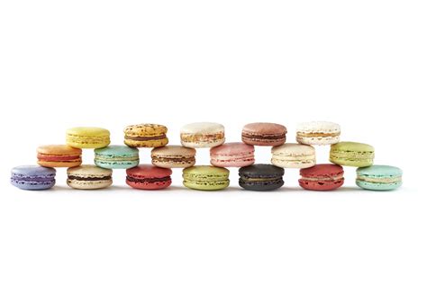Olivia Macaron Linkedin